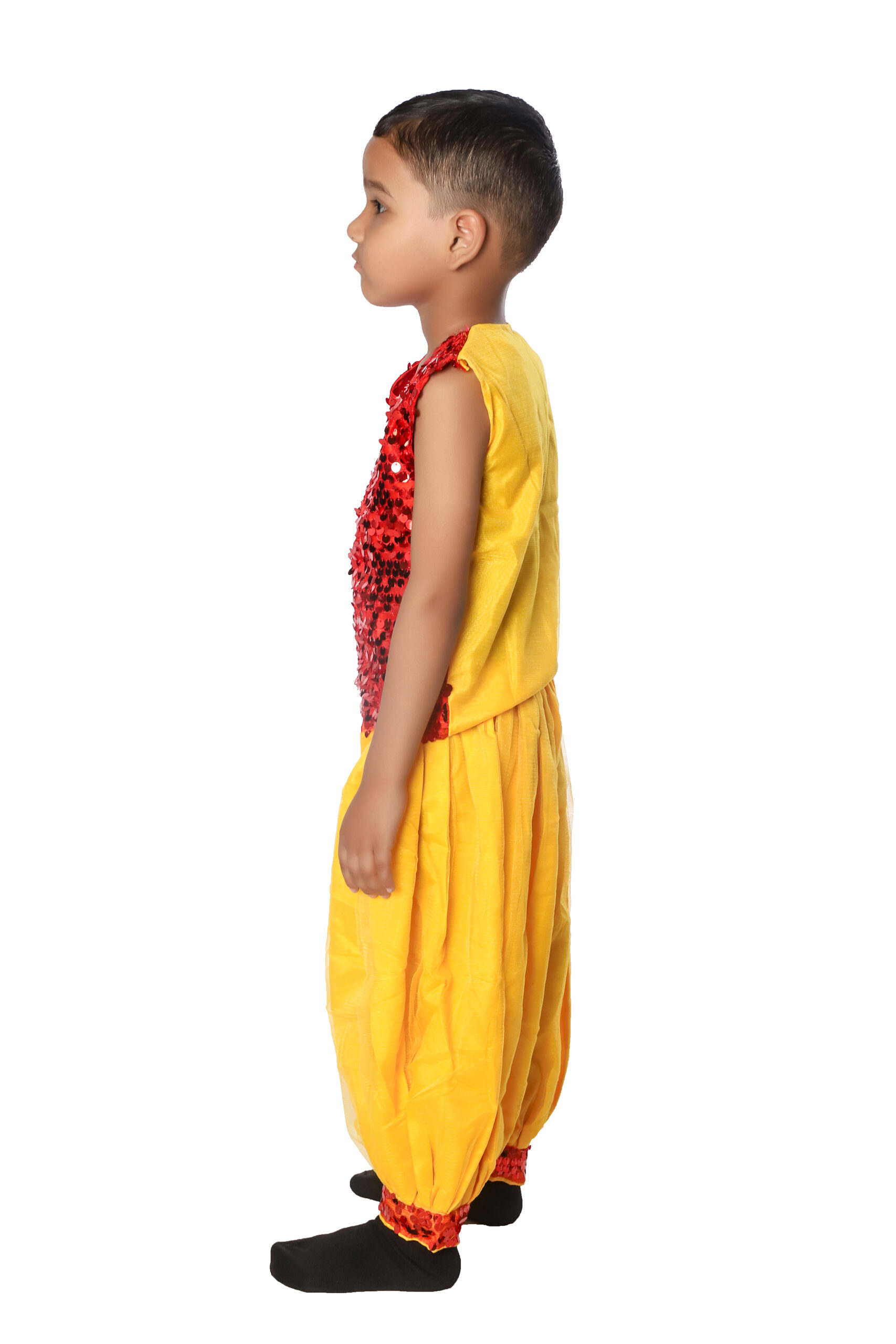 Harem Style Western Dance Fancy Dress – Sanskriti Fancy Dresses